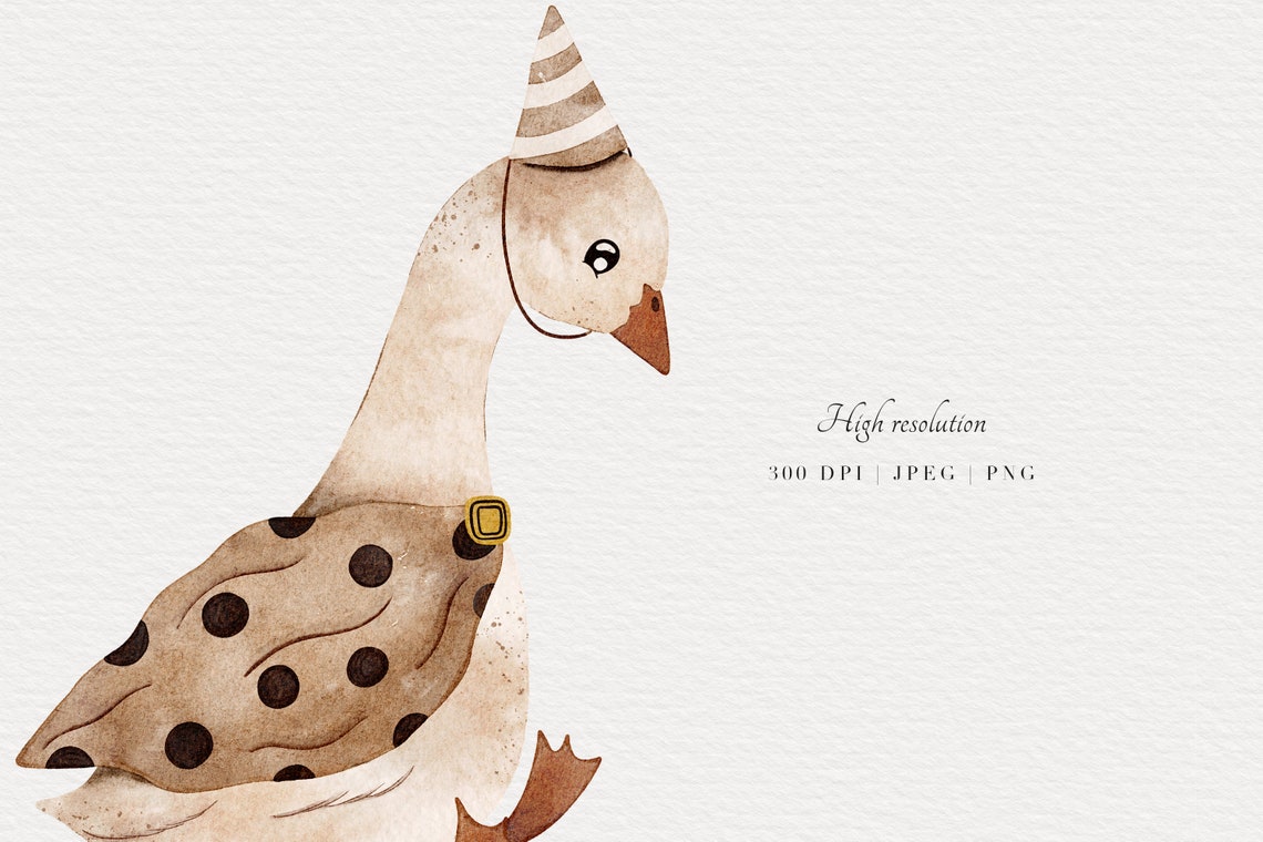 Vintage Goose Birthday Party Happy Birthday Cake - Etsy