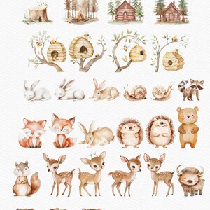 Cute Woodland Animal Clipart Bundle - Nursery Baby Animal Clipart ...