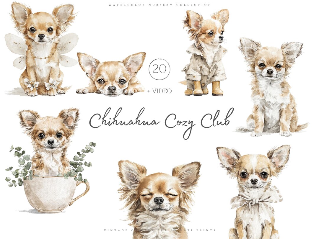 Chihuahua Clipart, Watercolor Dog Clipart, Cute Puppy Clip Art Bundle ...