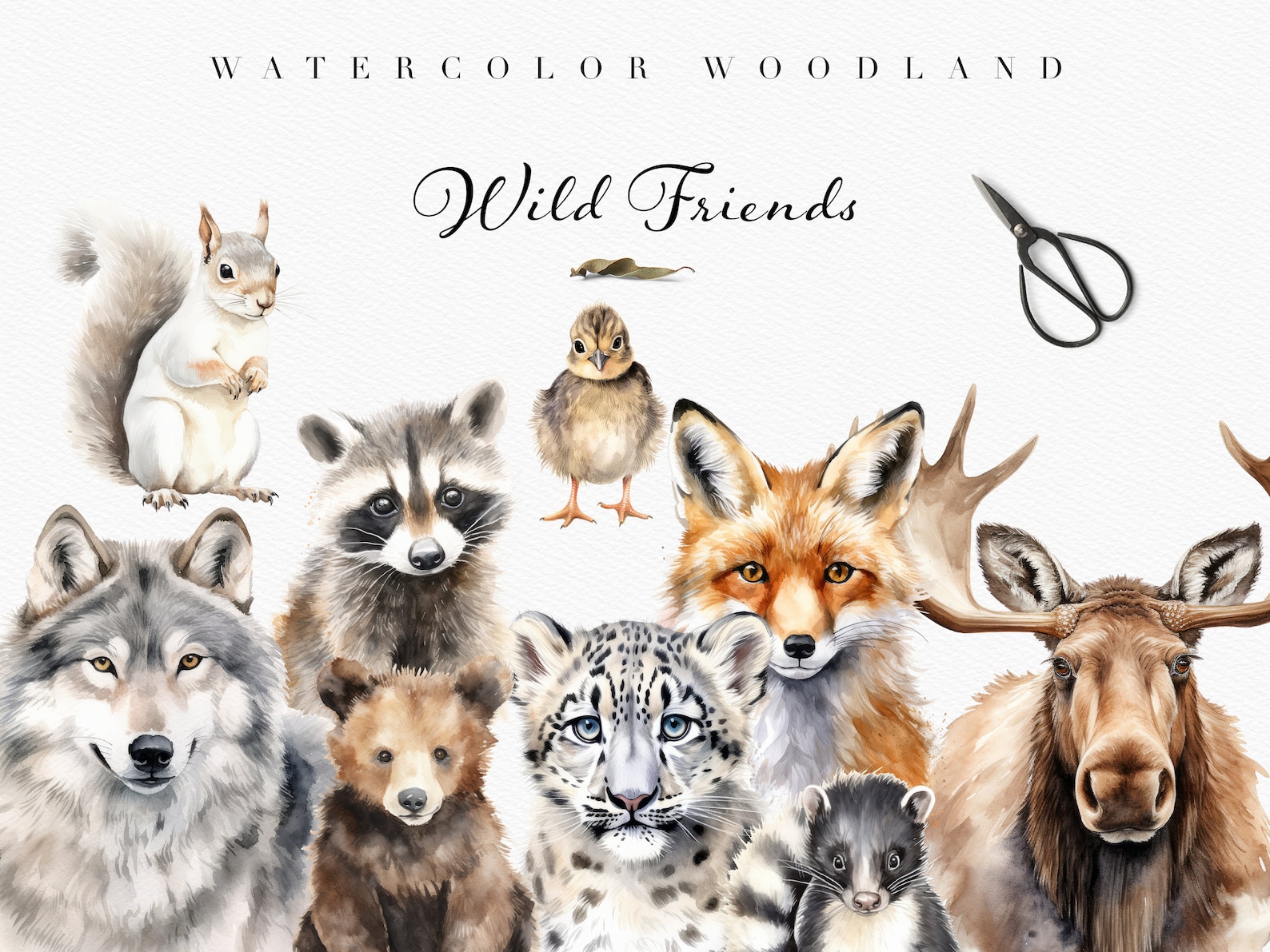Woodland Animal Clipart Bundle Watercolor Animals Clipart Baby Shower ...