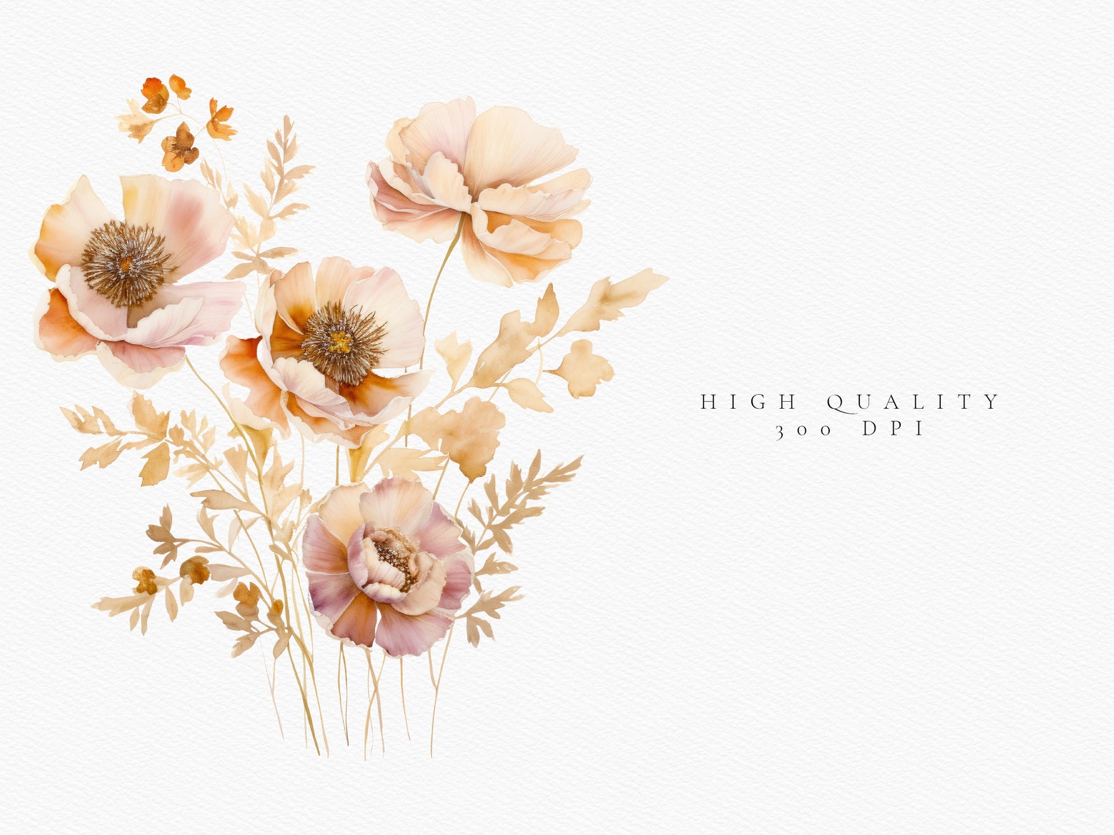 Watercolor Floral Clipart Bundle Dried Plants Clipart for Wedding ...