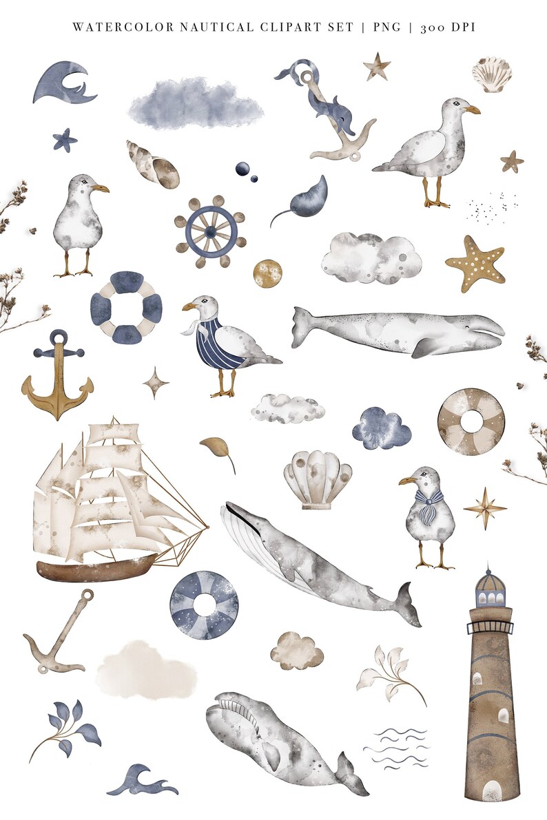 Seagull Watercolor Clipart Set - Ocean Nursery Clipart PNG - Underwater ...
