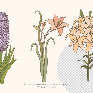 Bloom Delights Digital Clipart - Hand-drawn Floral Clipart - PNG Files ...