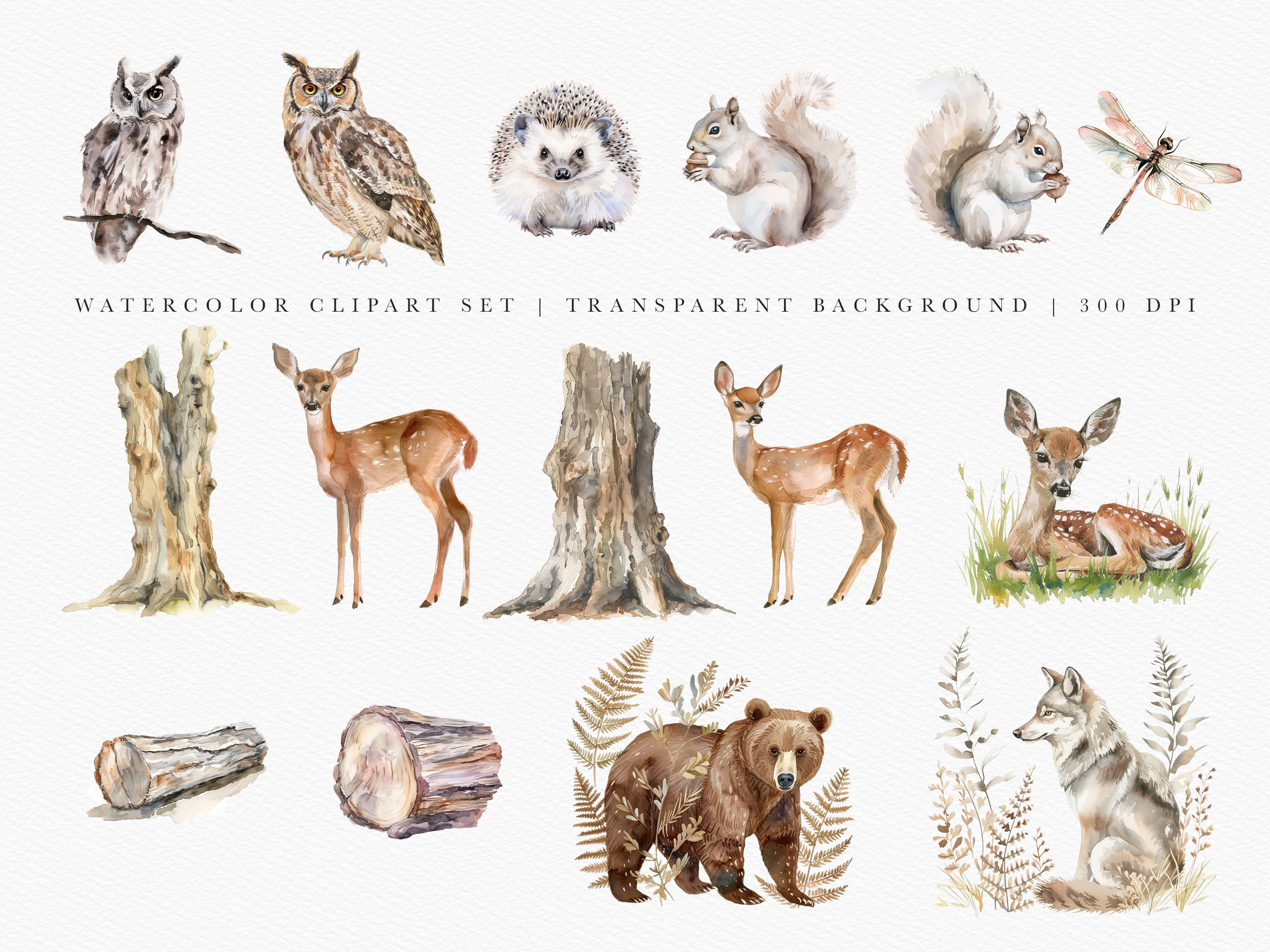 Watercolor Fairy Forest Clipart Bundle Digital Clipart for Kids ...