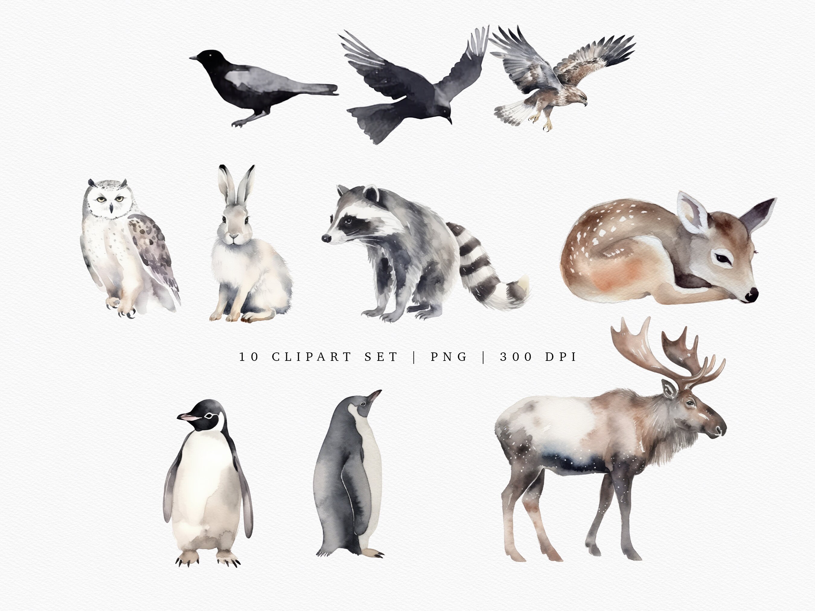 Watercolor Winter Animal Clipart for Christmas Card Winter - Etsy