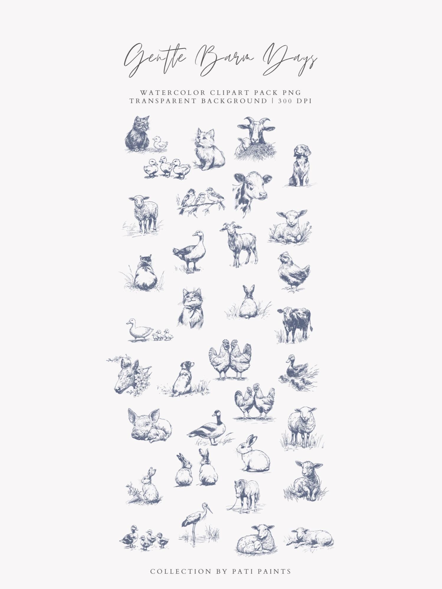 Farm Animal Line Drawn Clipart Collection - Farm Life - Cottage Clipart ...