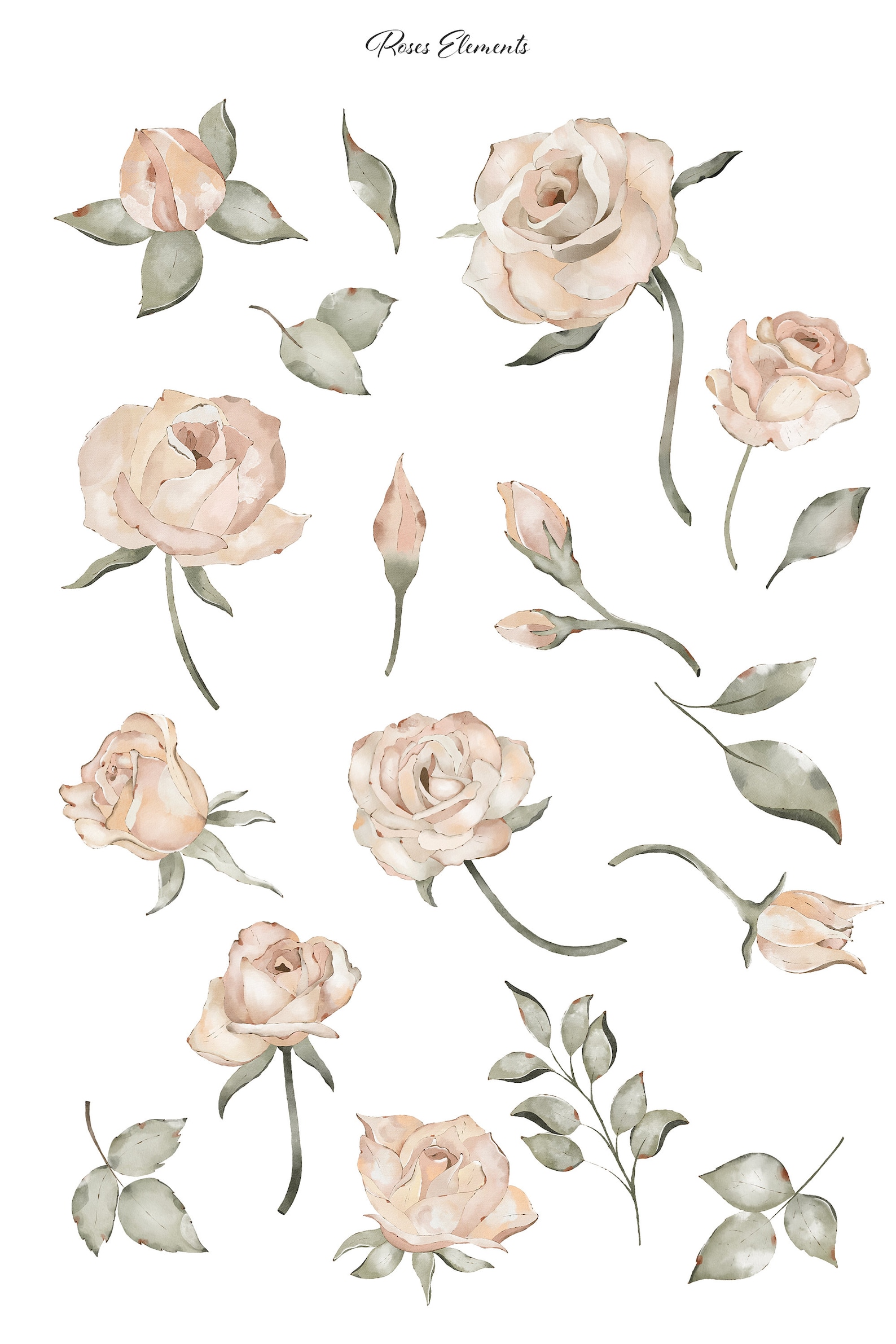 Watercolor Rose Garden Clipart and Pattern - Floral Background ...