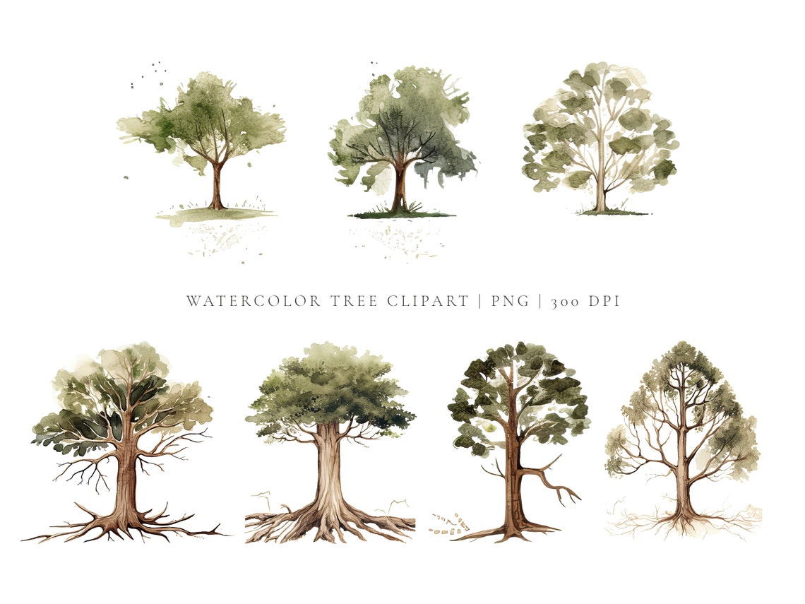 Watercolor Tree Clipart PNG Instant Download Forest Digital ...