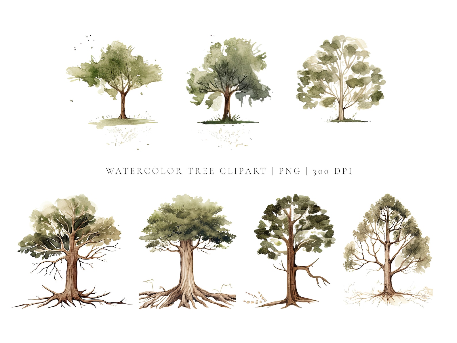 Watercolor Tree Clipart PNG Instant Download Forest Digital ...
