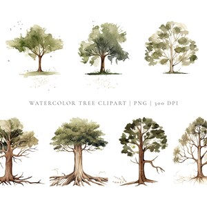 Watercolor Tree Clipart PNG Instant Download Forest Digital ...