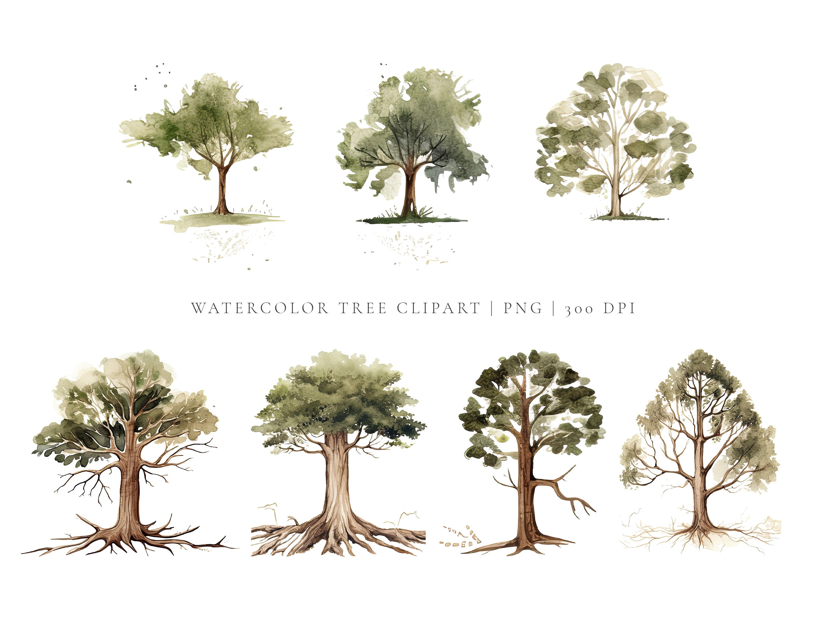 Watercolor Tree Clipart PNG Instant Download Forest Digital ...