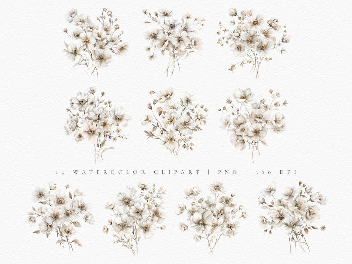 White Rustic Flower Clipart Bundle Watercolor Clipart Wedding Clipart ...