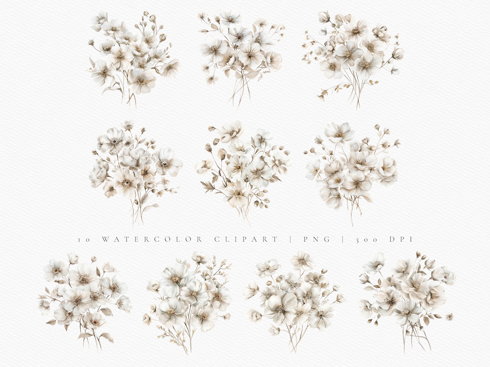 White Rustic Flower Clipart Bundle Watercolor Clipart Wedding Clipart ...