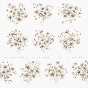 White Rustic Flower Clipart Bundle - Watercolor Clipart - Wedding ...