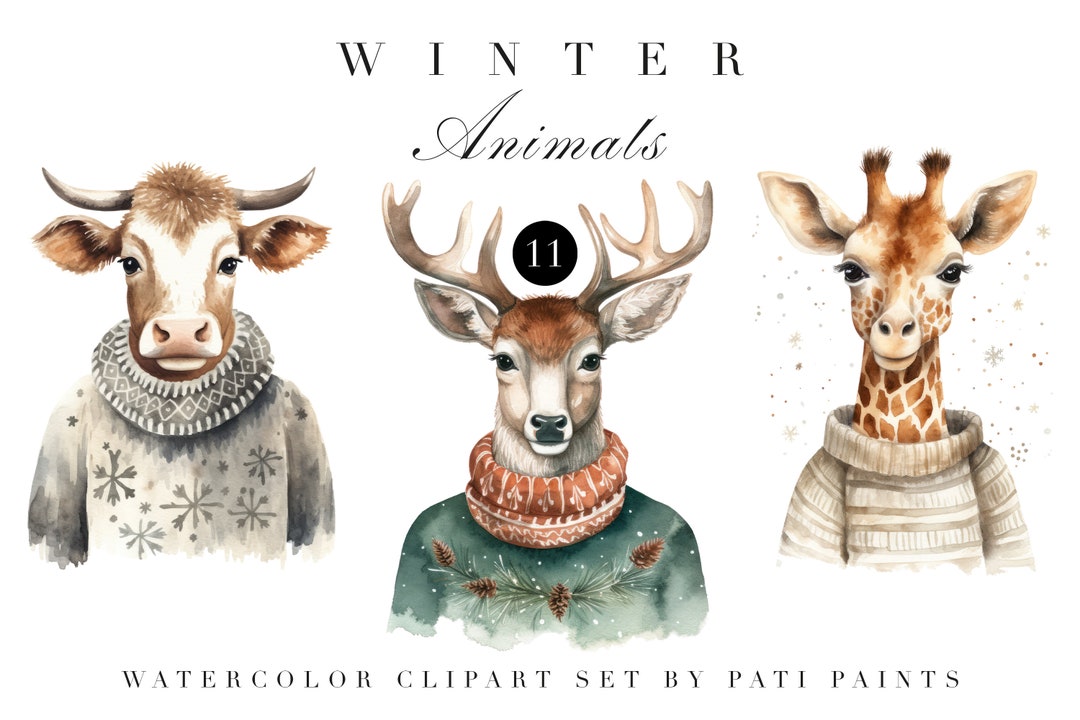 Watercolor Winter Animals Clipart PNG Watercolor Animals Bundle ...