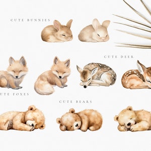 Watercolor Sleeping Animals Clipart PNG - Nursery Decor Graphics ...