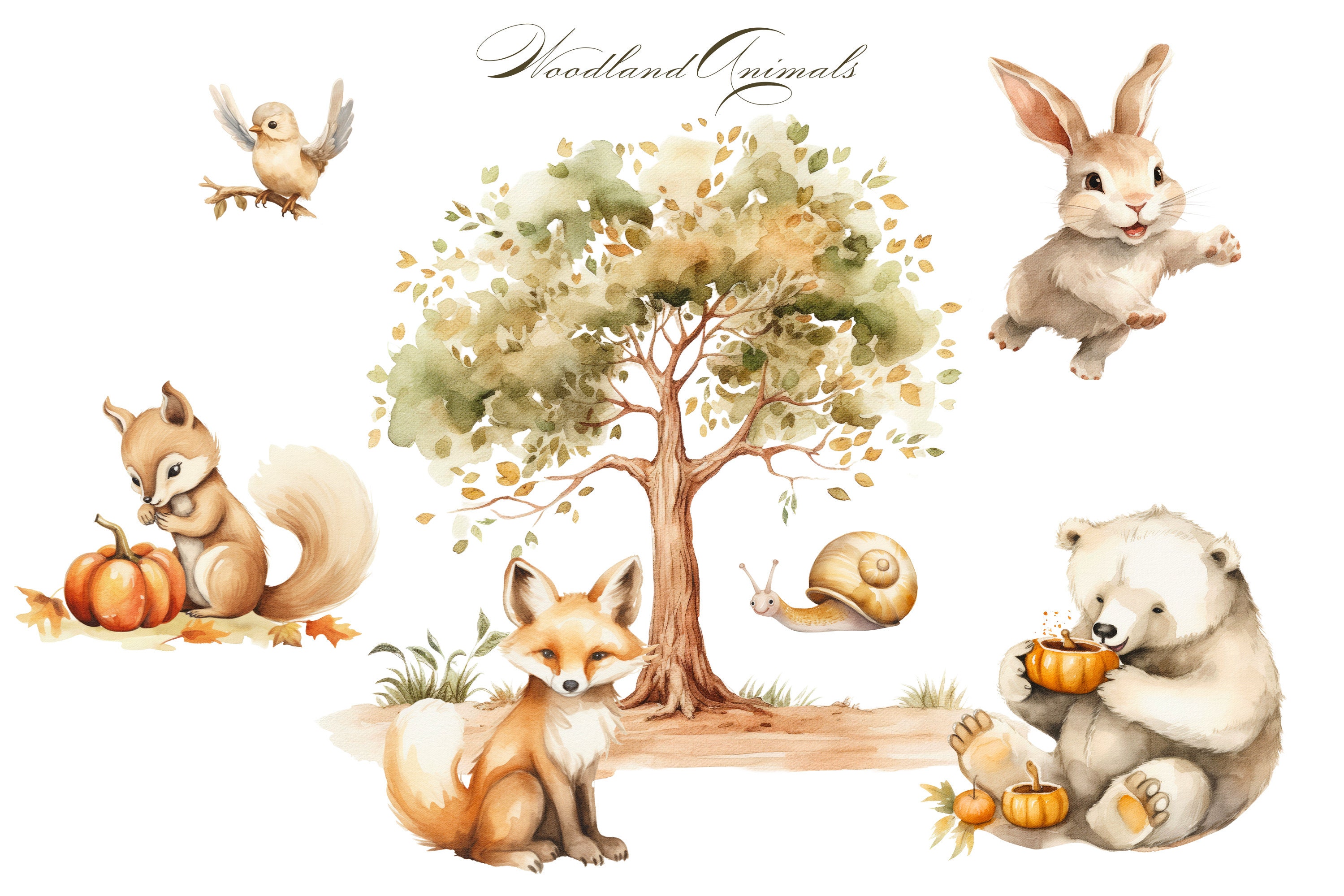 Autumn Woodland Animals Clipart Bundle Forest Animals Clipart Cute ...