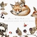 Watercolor Woodland Animals Clipart Bundle Digital Download Nursery ...
