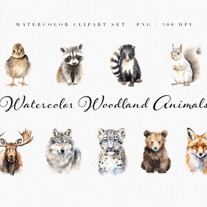 Woodland Animal Clipart Bundle - Watercolor Animals Clipart - Baby ...