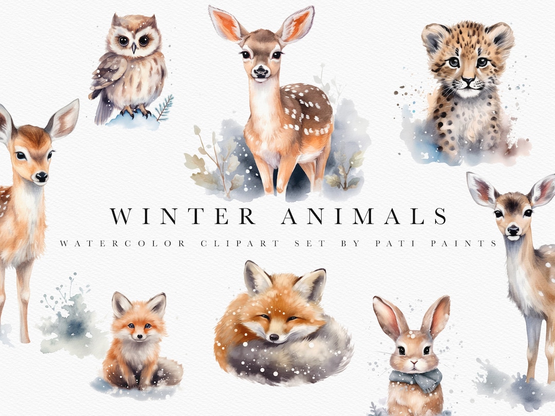 Winter Animals Clipart Bundle - Watercolor Clipart - Watercolor Animals ...