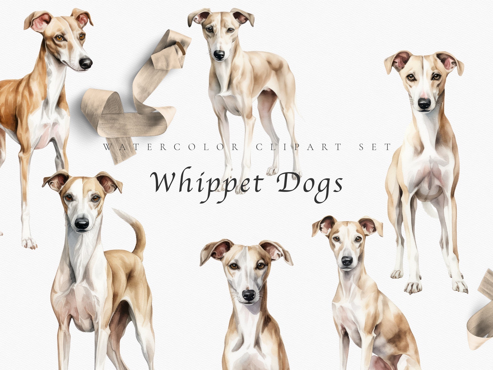 Whippet Dog Watercolor Clipart Set for Commercial Use - Whippet Dog ...
