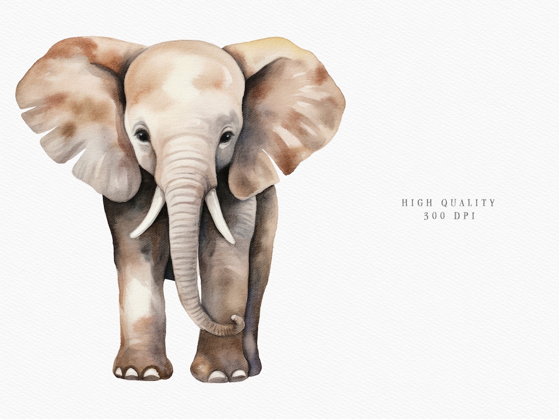 Watercolor Safari Animals Clipart Bundle - Digital Planner ...