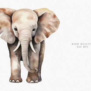 Watercolor Safari Animals Clipart Bundle - Digital Planner ...