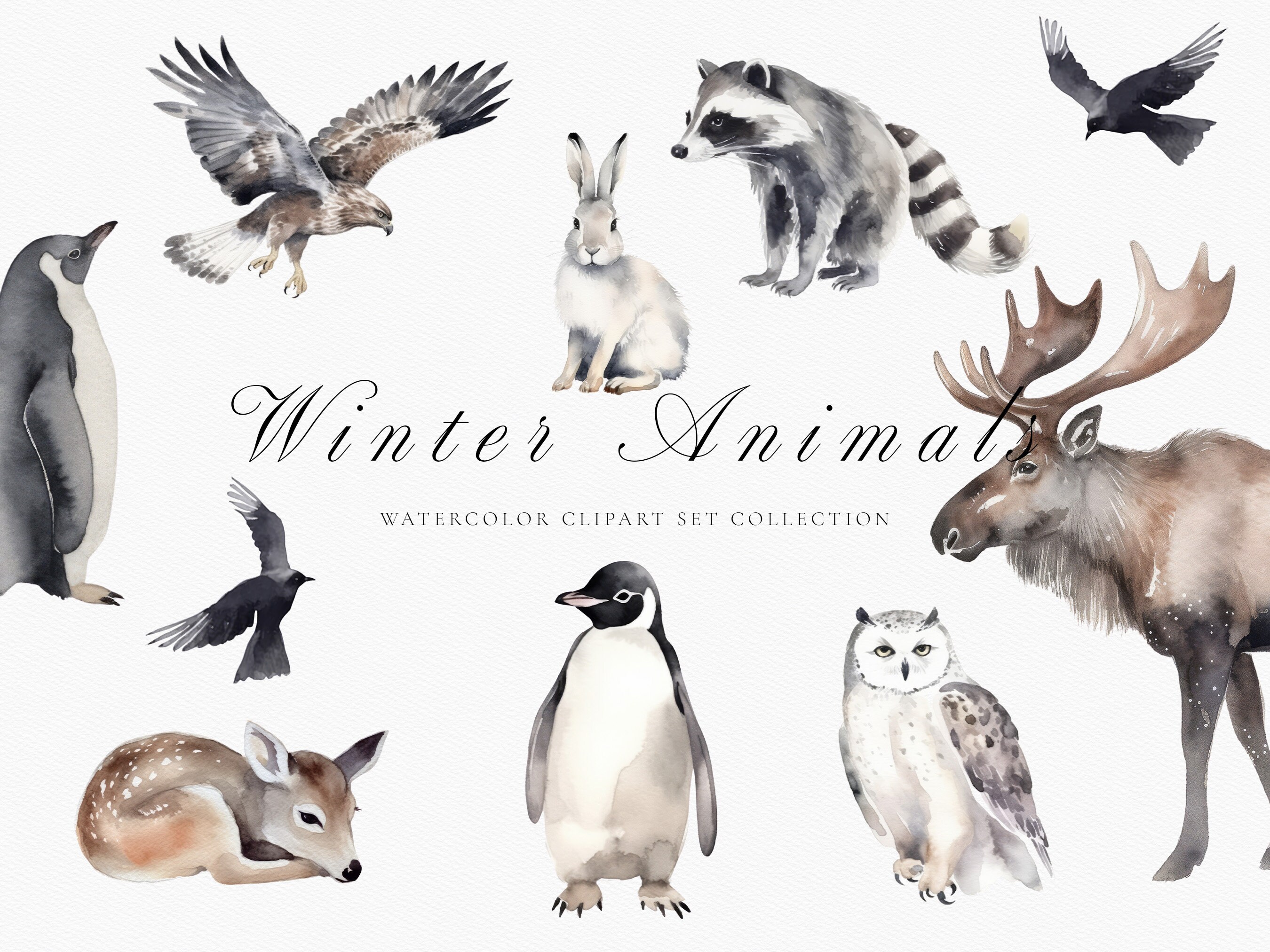 Watercolor Winter Animal Clipart for Christmas Card Winter - Etsy