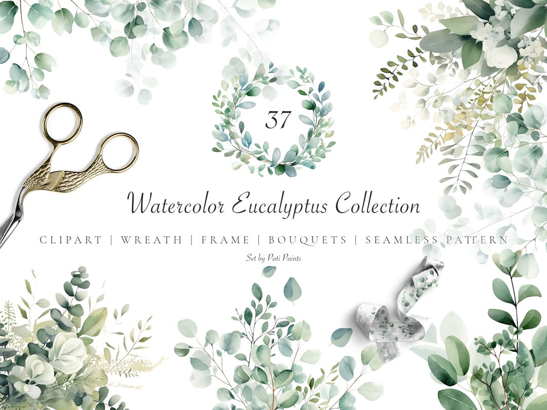 Eucalyptus Watercolor Clipart Greenery Seamless Scrapbooking Eucalyptus ...
