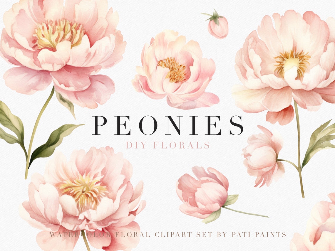 Watercolor Peonies Clipart Set for Commercial Personal Use Peony Flower ...