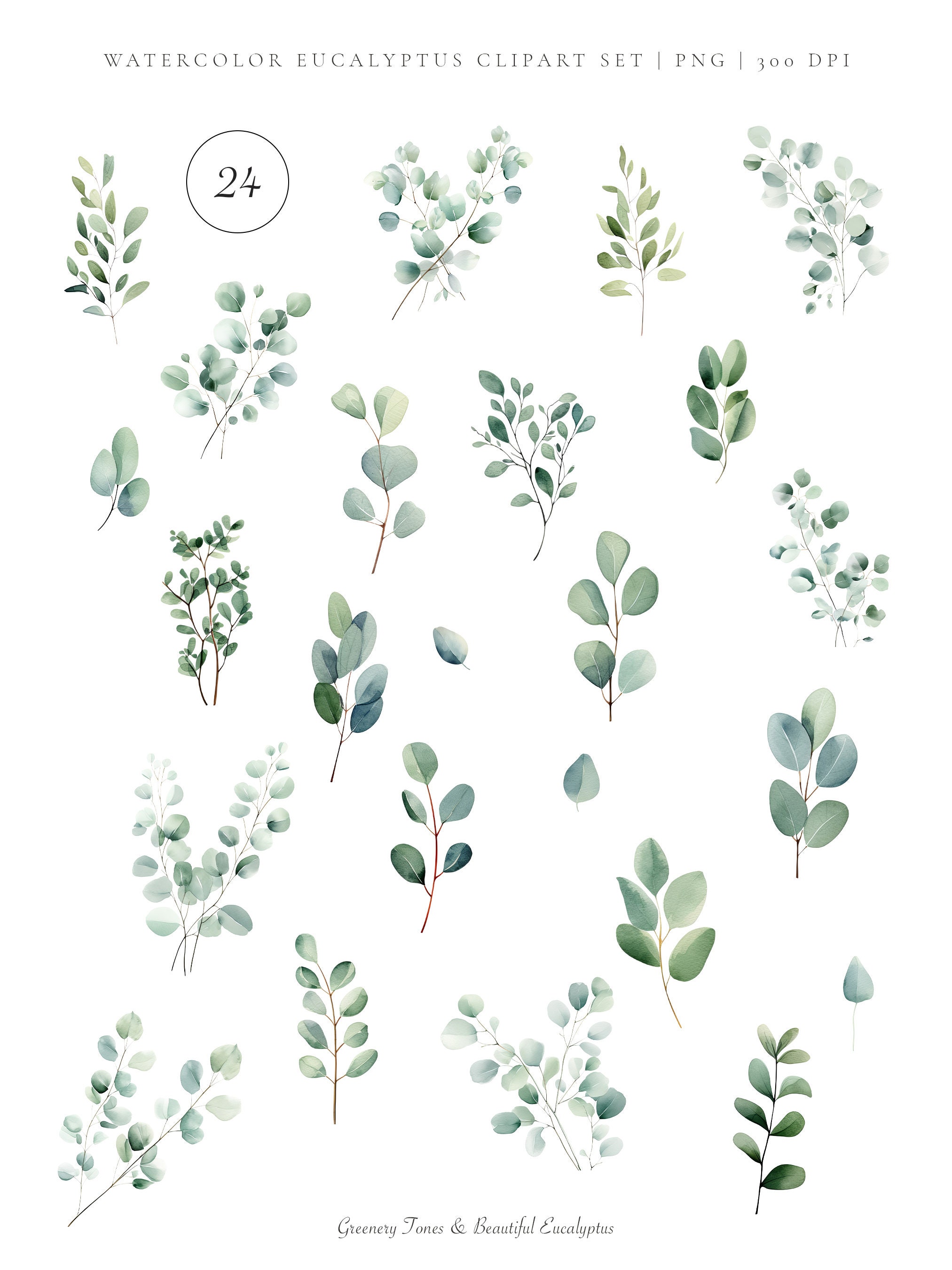 Eucalyptus Watercolor Clipart Greenery Seamless Scrapbooking Eucalyptus ...