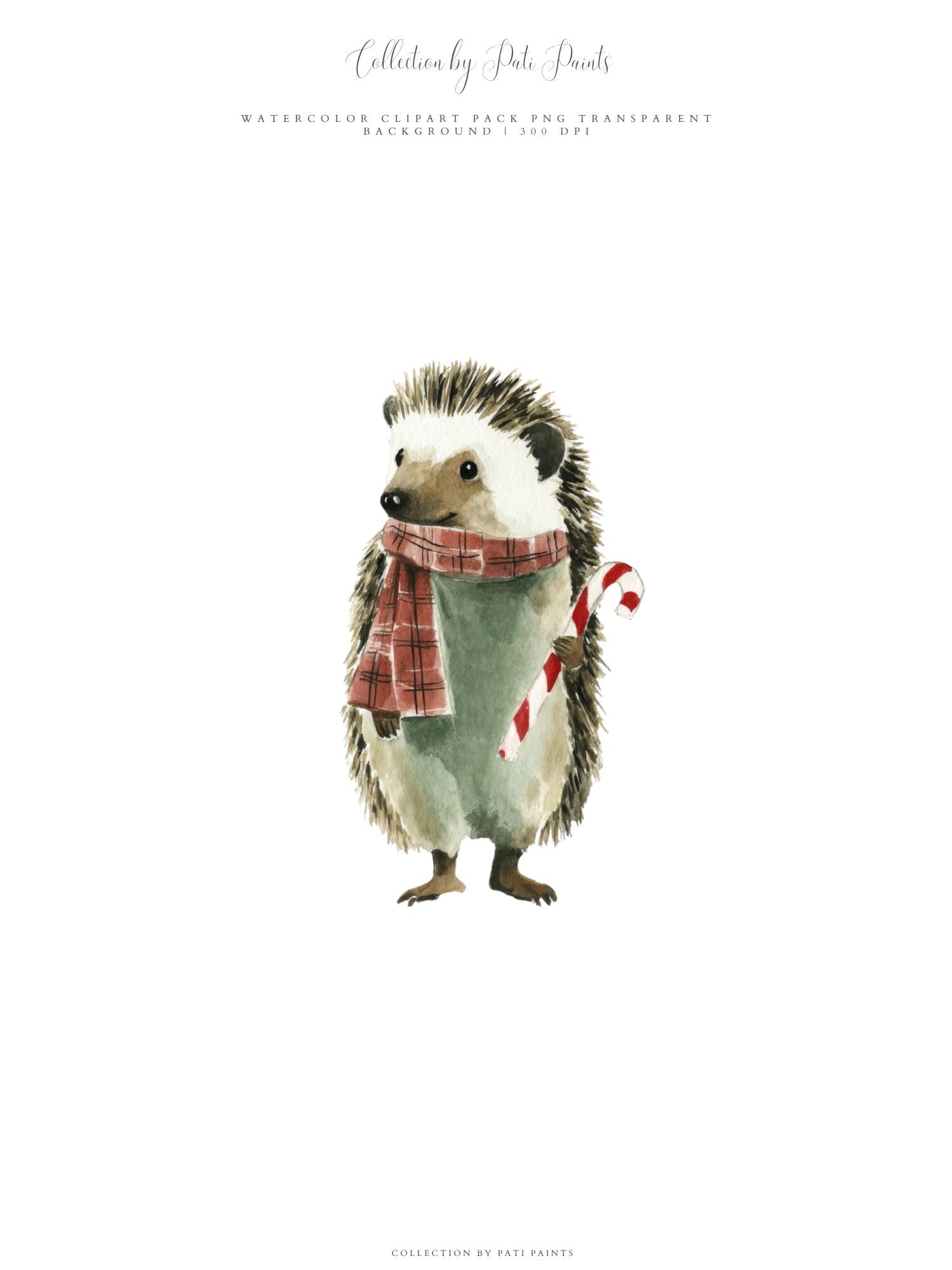 Watercolor Christmas Animals Clipart Set, Woodland Winter Forest ...