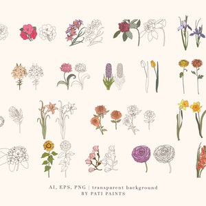 Bloom Delights Digital Clipart - Hand-drawn Floral Clipart - PNG Files ...