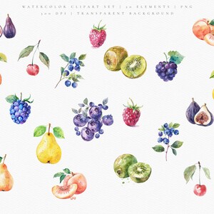 Watercolor Fruit Clipart Bundle - Summer Clipart - Fruit Clipart Set ...