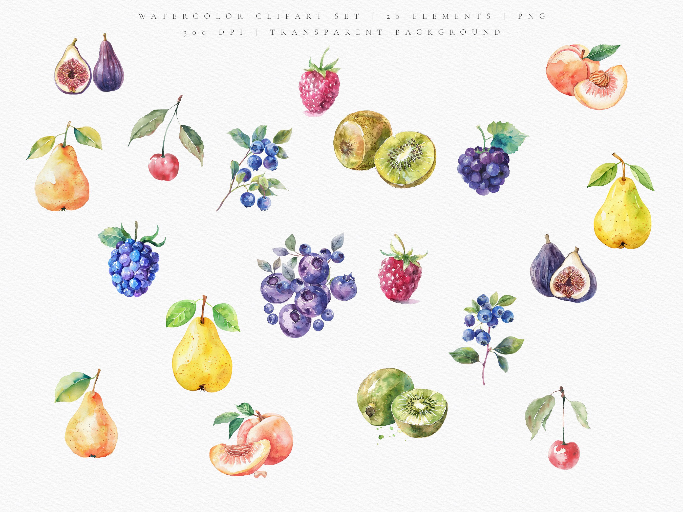Watercolor Fruit Clipart Bundle Summer Clipart Fruit Clipart Set ...