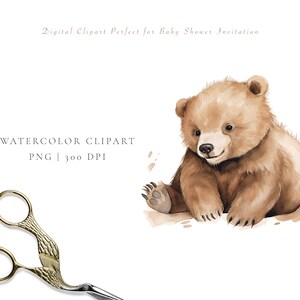 Watercolor Brown Bear Digital Clipart Woodland Animal PNG Transparent ...