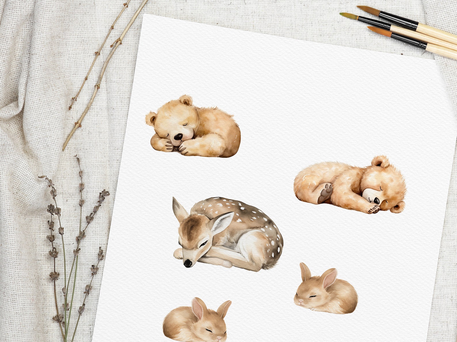 Watercolor Sleeping Animals Clipart PNG - Nursery Decor Graphics ...
