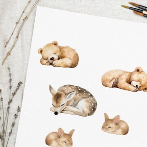 Watercolor Sleeping Animals Clipart PNG - Nursery Decor Graphics ...