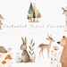 Autumn Woodland Animals Clipart Bundle Forest Animals Clipart Cute ...