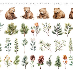Watercolor Bear in the Forest Clipart for Baby Shower Woodland Autumn ...