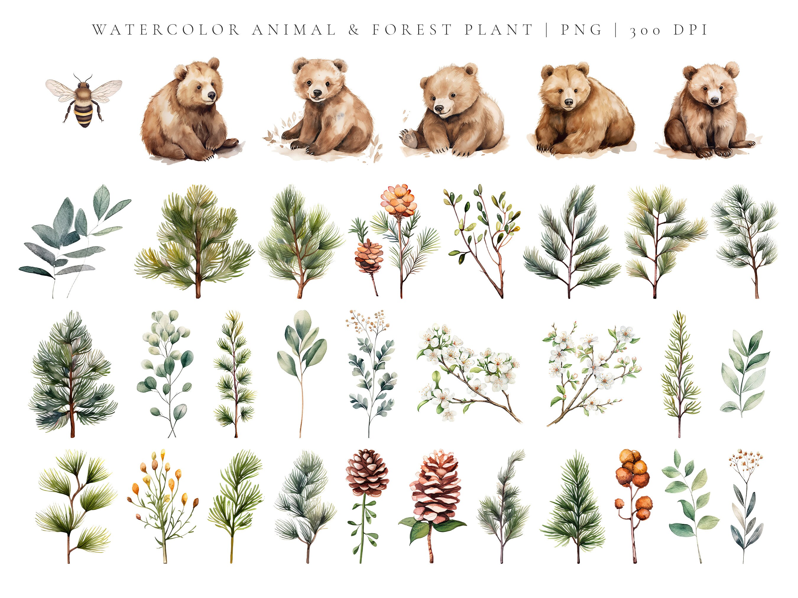 Watercolor Bear in the Forest Clipart for Baby Shower Woodland Autumn ...