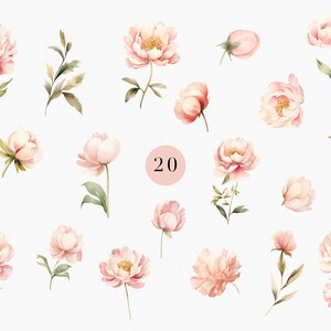 Watercolor Peonies Clipart Set for Commercial Personal Use - Peony ...