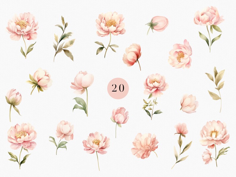 Watercolor Peonies Clipart Set for Commercial Personal Use Peony Flower ...