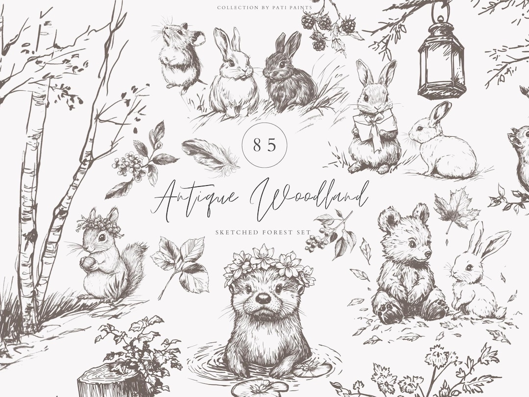 Forest Animals Line Drawn Clipart Collection - Nursery Woodland ...
