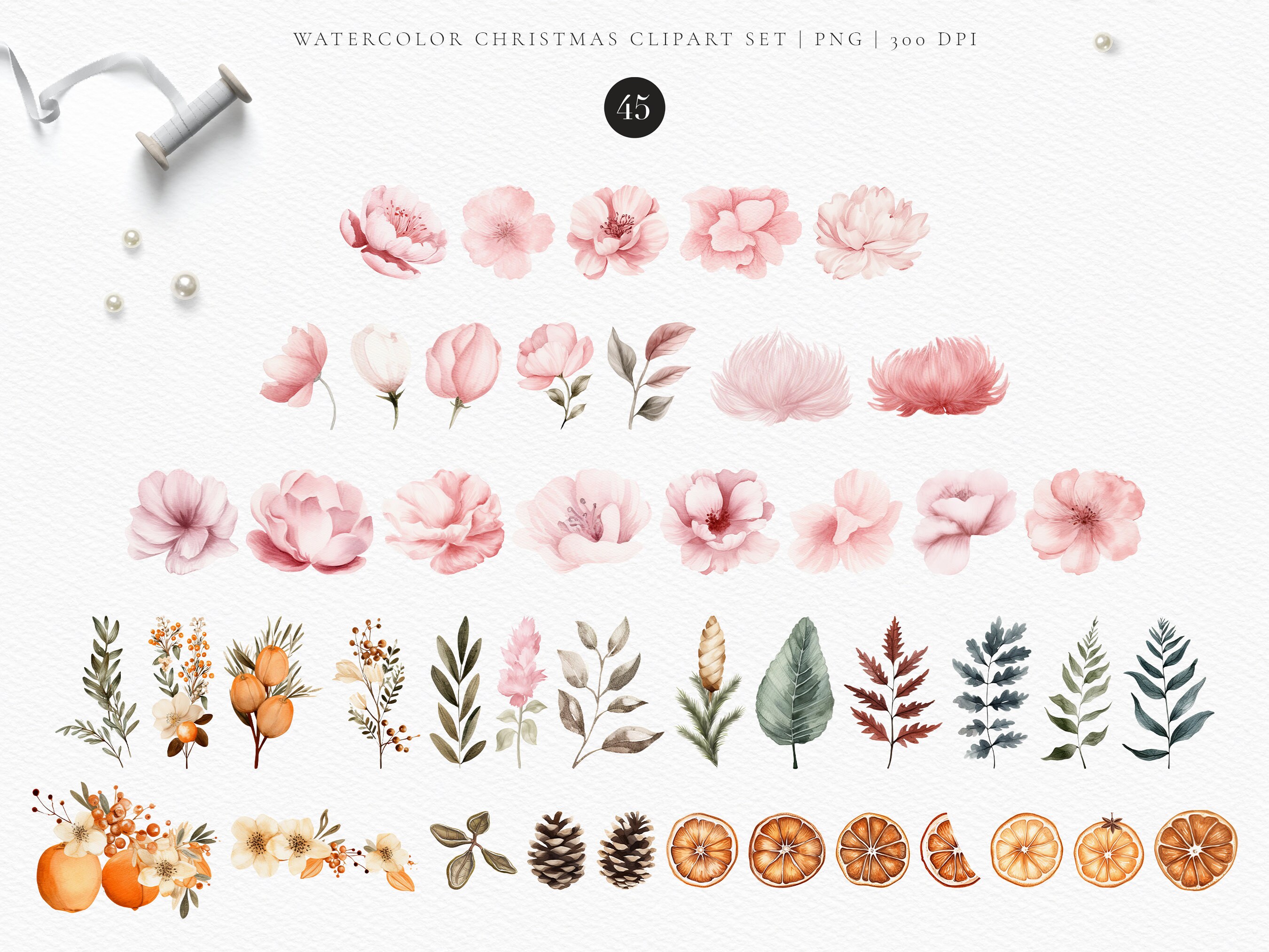 Watercolor Bohemian Christmas Clipart Dried Orange Clipart Winter ...