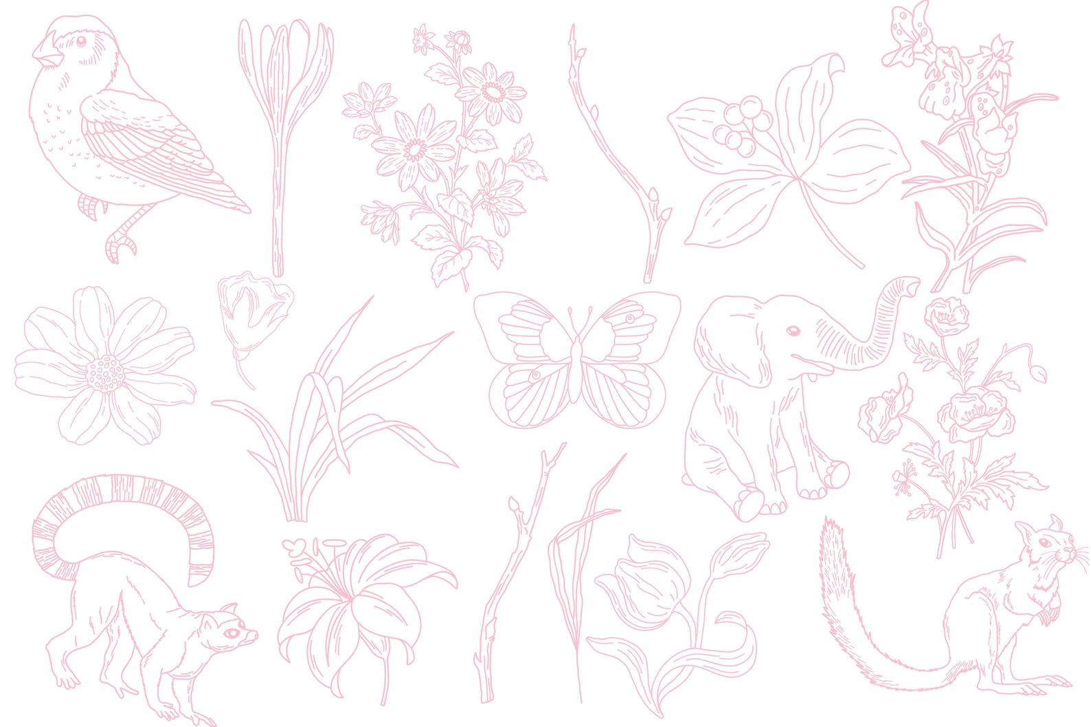 Safari Animals Digital Paper Nursery Decor Jungle Baby Animals Clipart ...