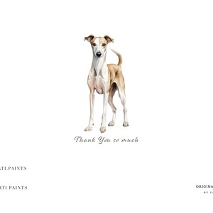 Whippet Dog Watercolor Clipart Set for Commercial Use - Whippet Dog ...