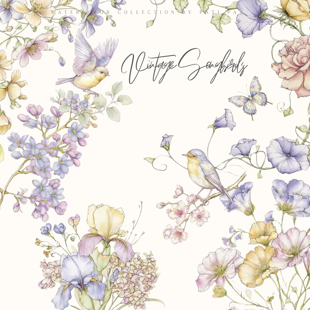 Vintage Floral Songbirds Clipart Set, Floral Birds PNG, Watercolor ...