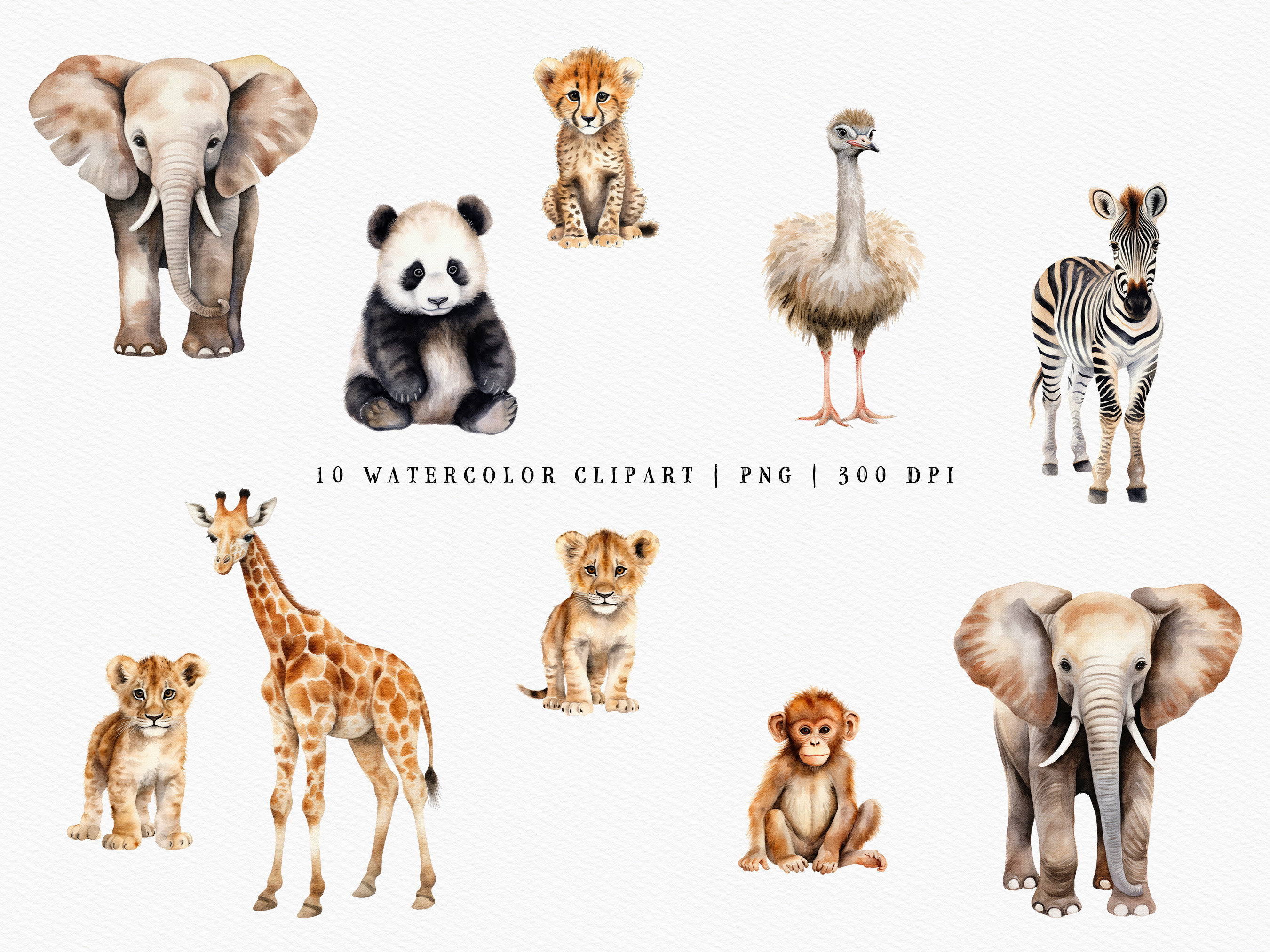 Watercolor Safari Animals Clipart Bundle Digital Planner Scrapbooking ...