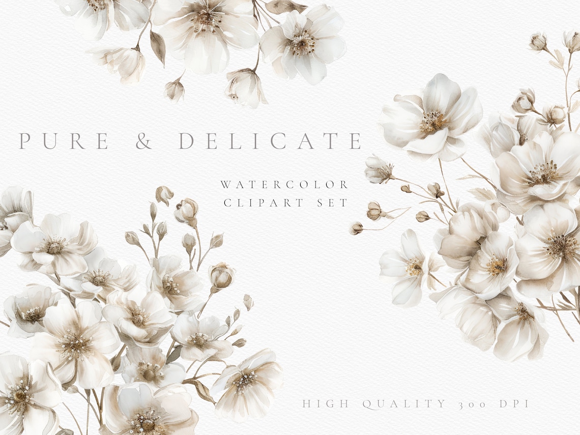 White Rustic Flower Clipart Bundle Watercolor Clipart Wedding Clipart ...
